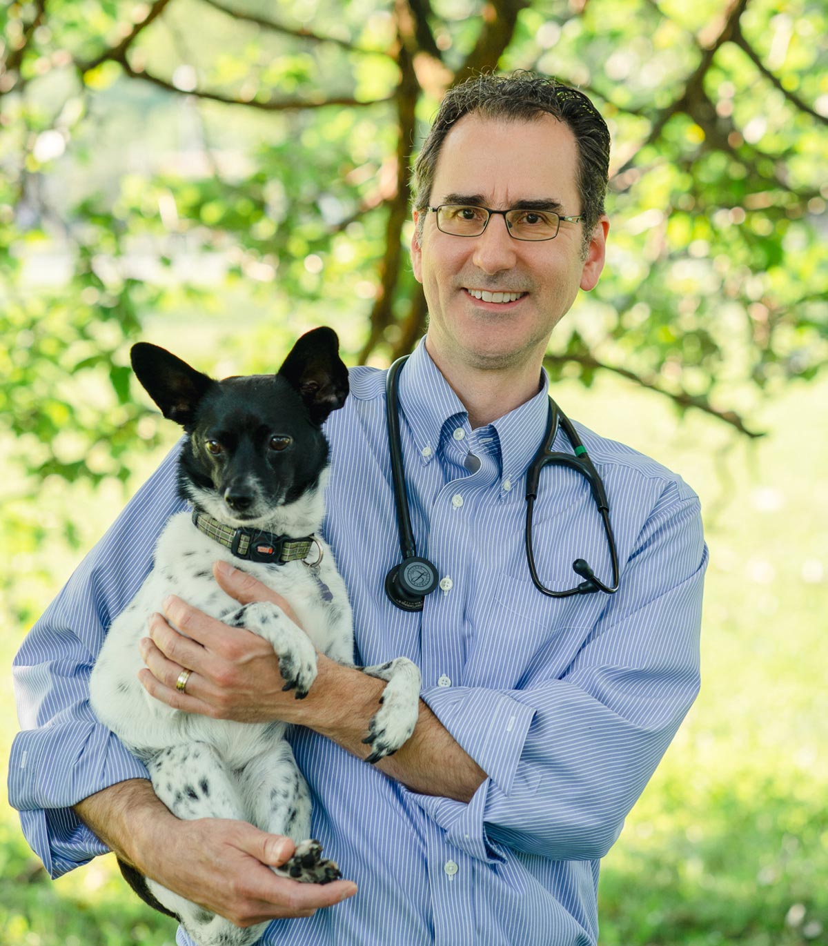 Ukrainian Village Veterinary Center - Danylo Butenko - Chicago