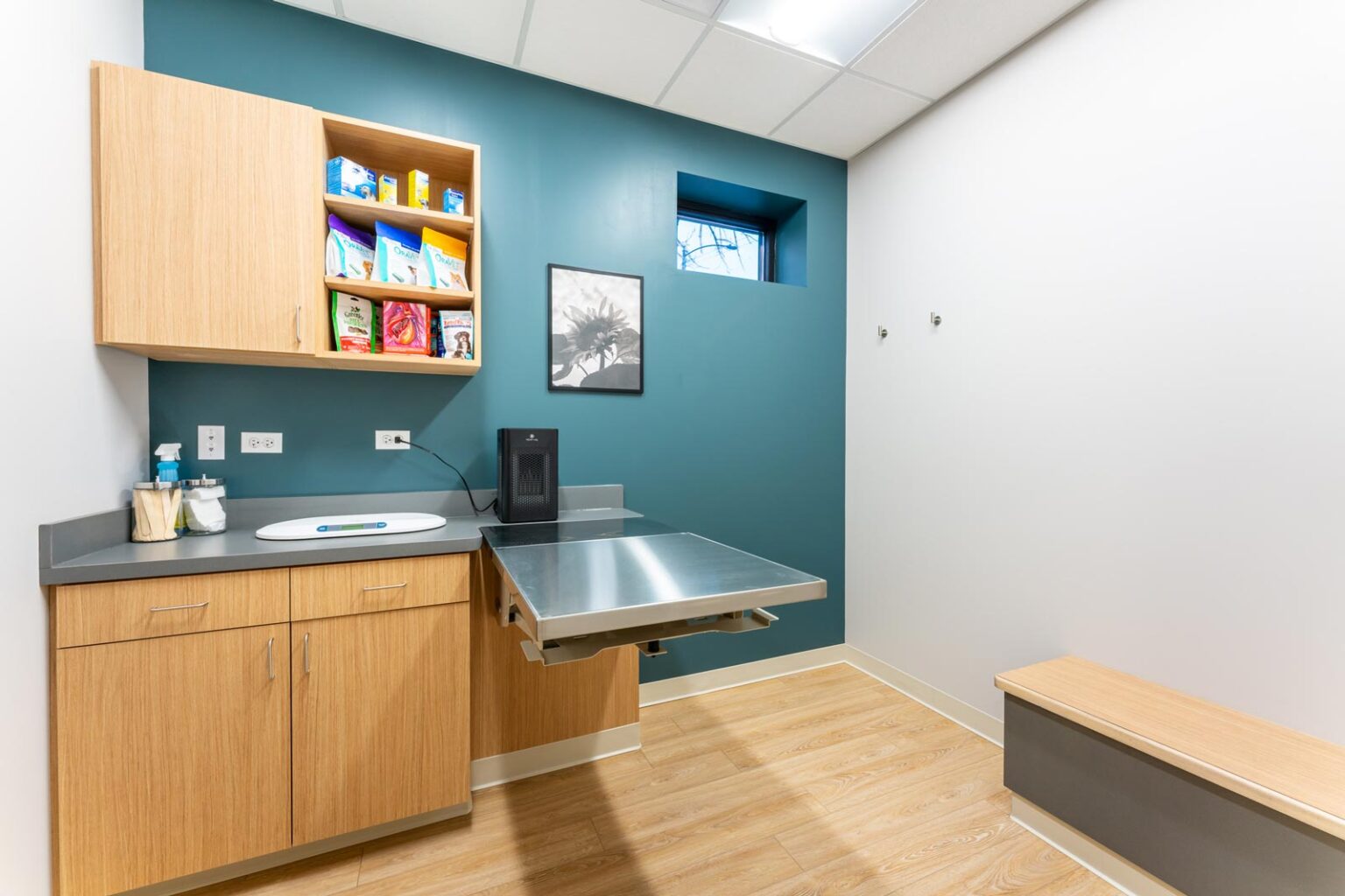 About - Ukrainian Village Veterinary Center