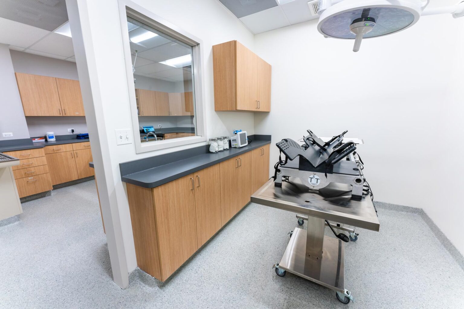 About - Ukrainian Village Veterinary Center