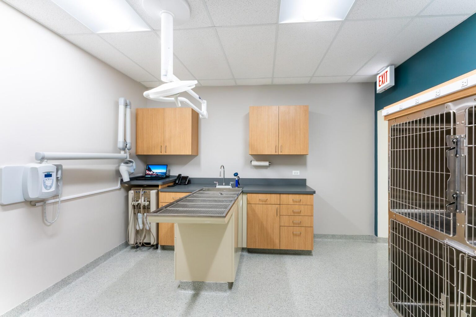 About - Ukrainian Village Veterinary Center